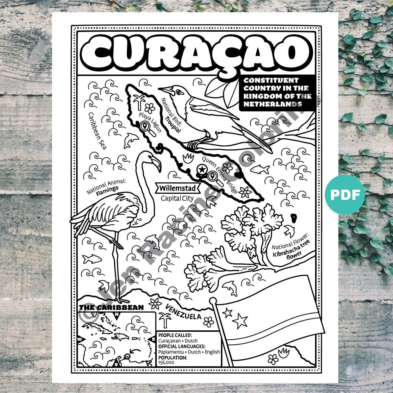 Curaçao Map Coloring Page, Caribbean Geography (digital Download) - Etsy