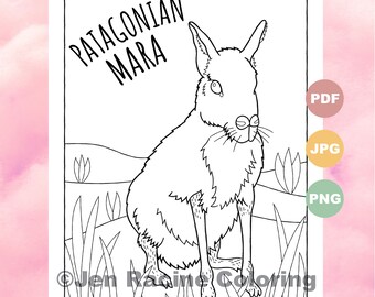 Book Page Art - Etsy