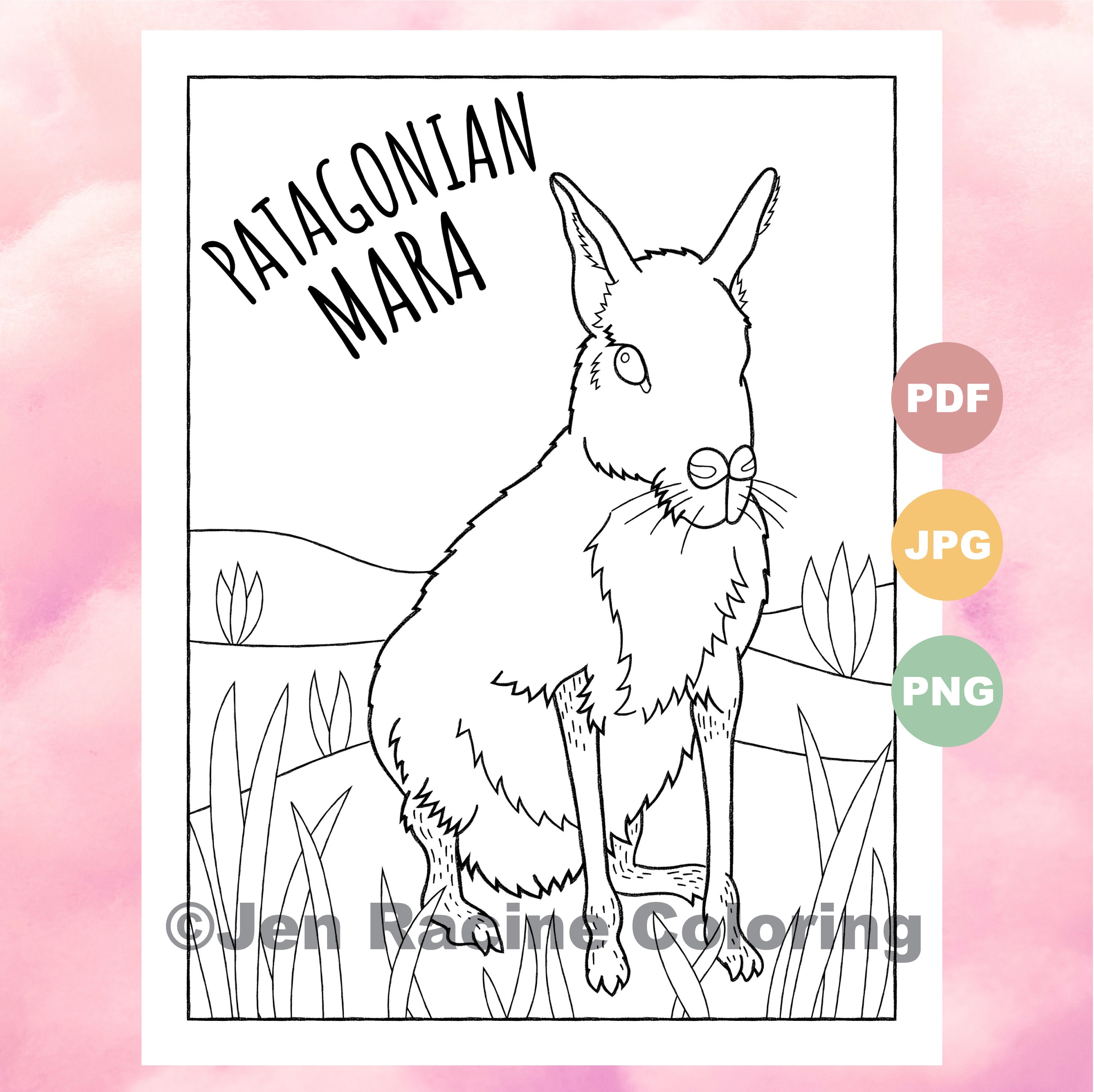 Cute Argentina Animals