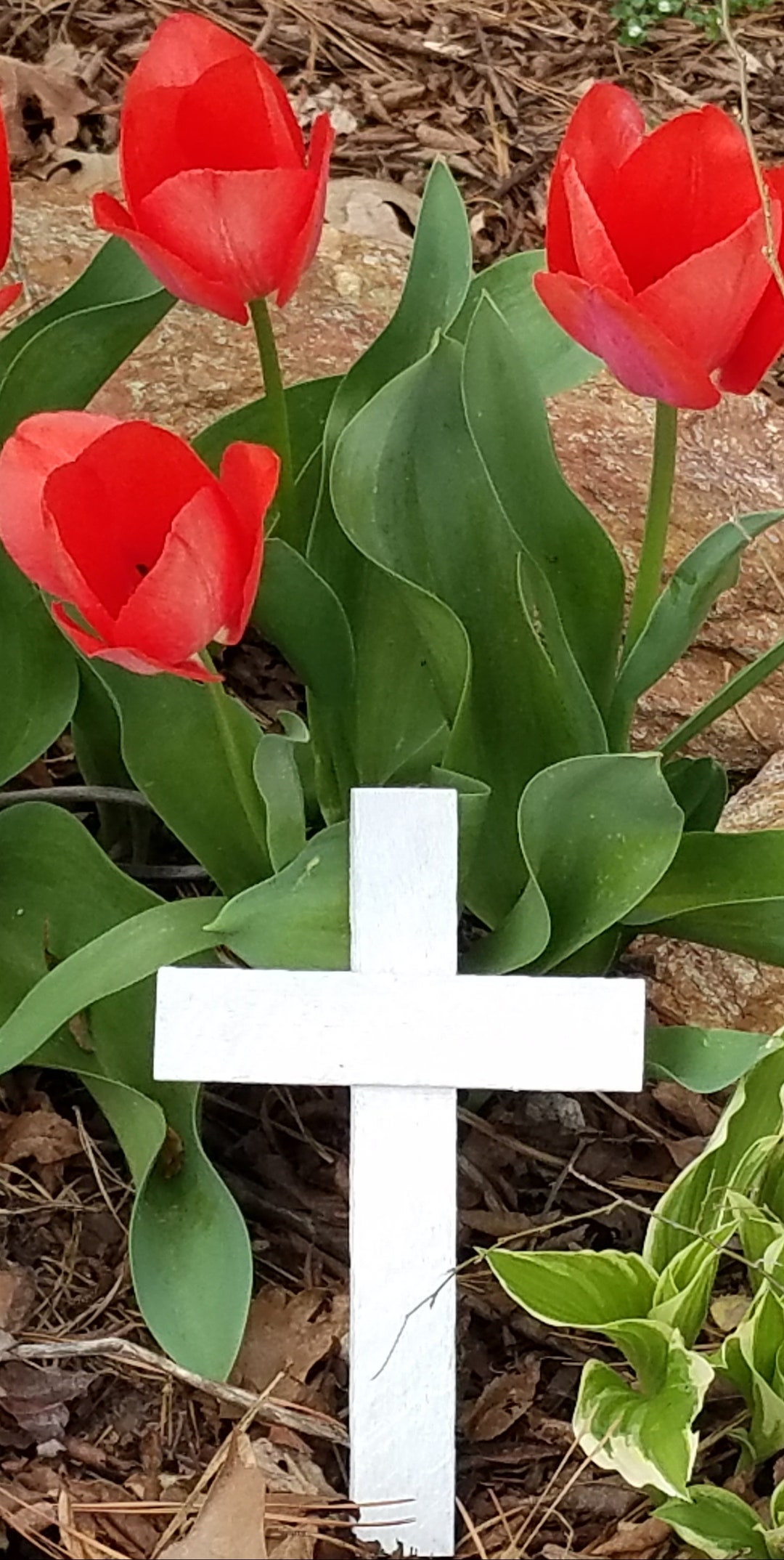 White Wooden Crosses From Reclaimed Barn Wood/ Tobacco Stick, Celebrate ...