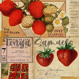 Strawberry Patch - Etsy