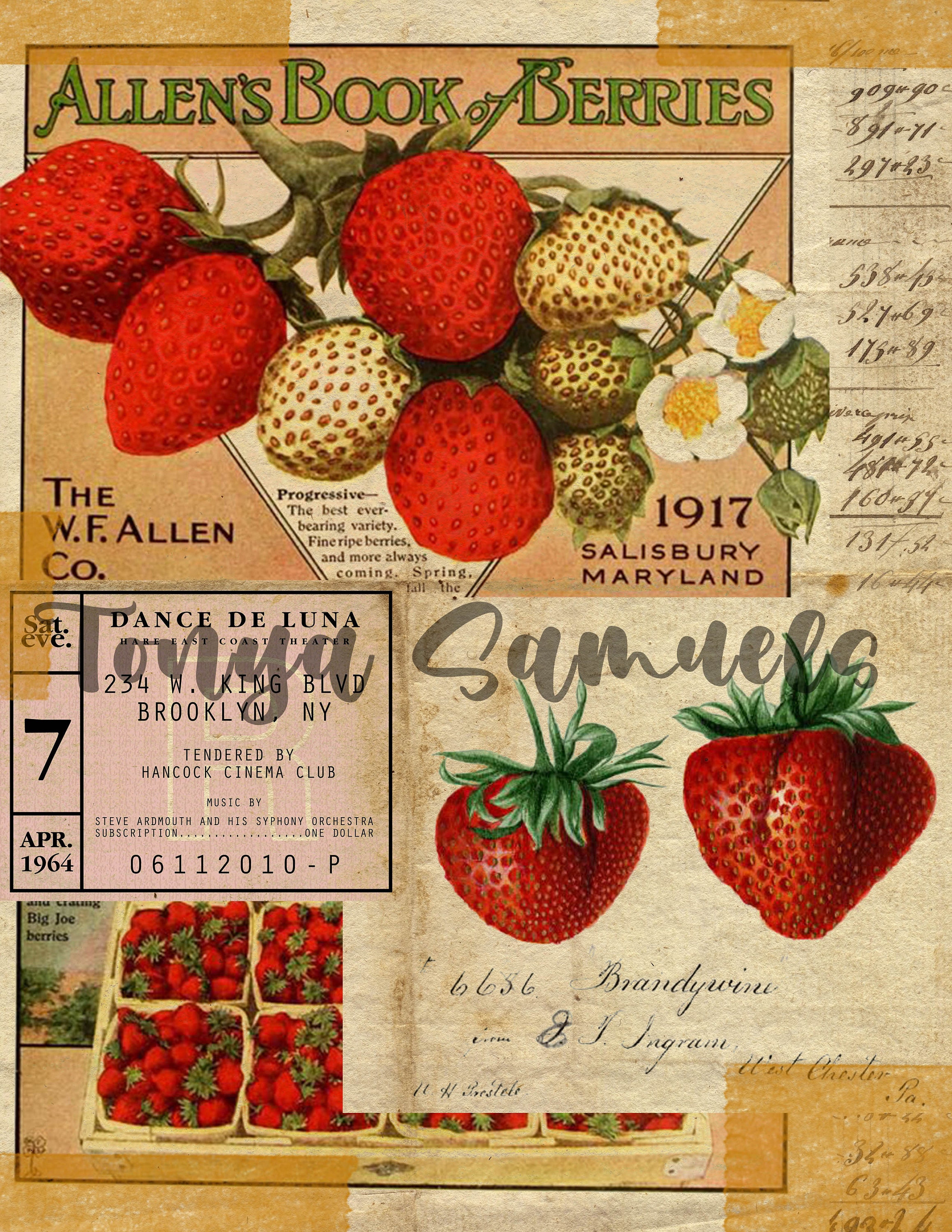 Strawberry Patch - Etsy