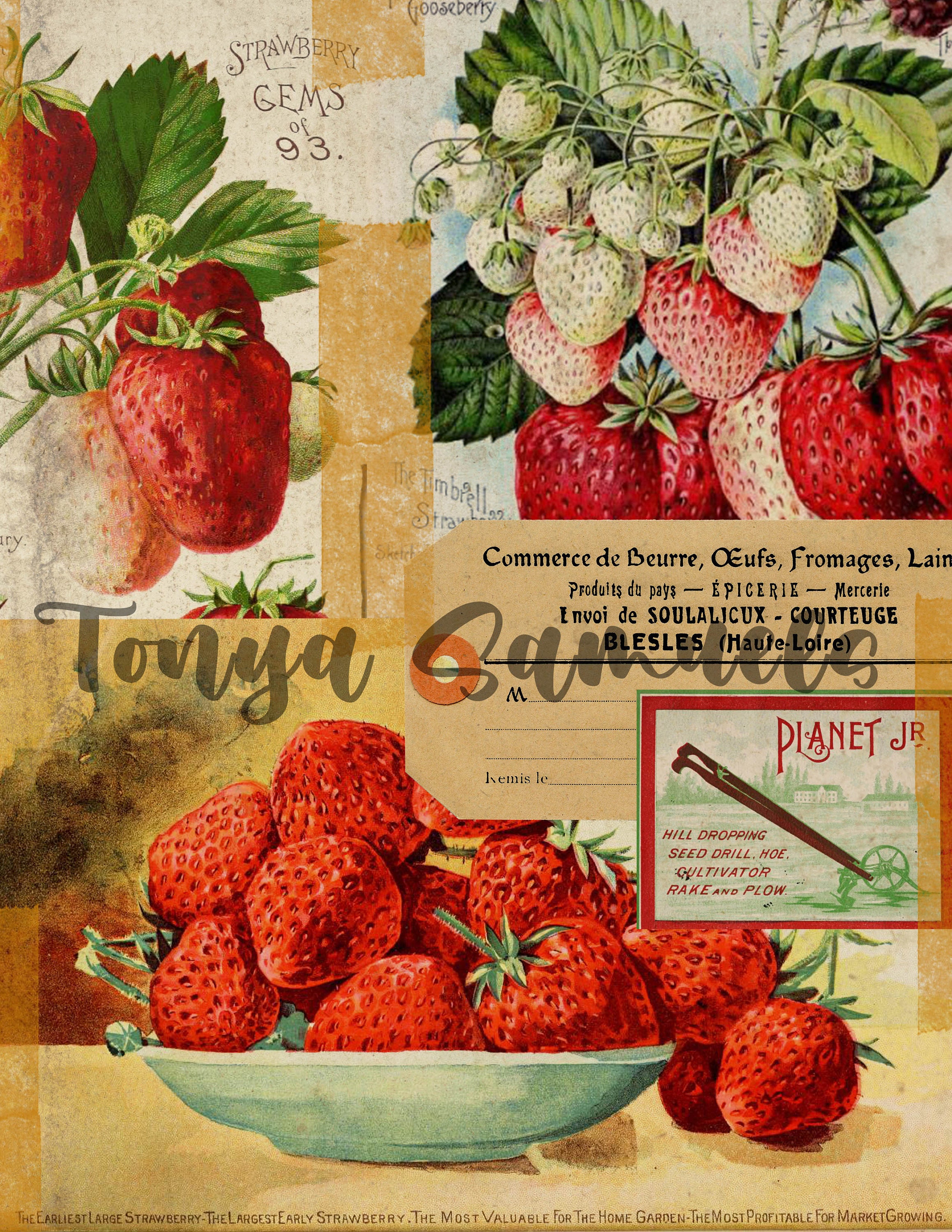 Strawberry Patch - Etsy