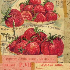 Strawberry Patch - Etsy