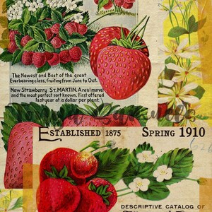 Strawberry Patch - Etsy