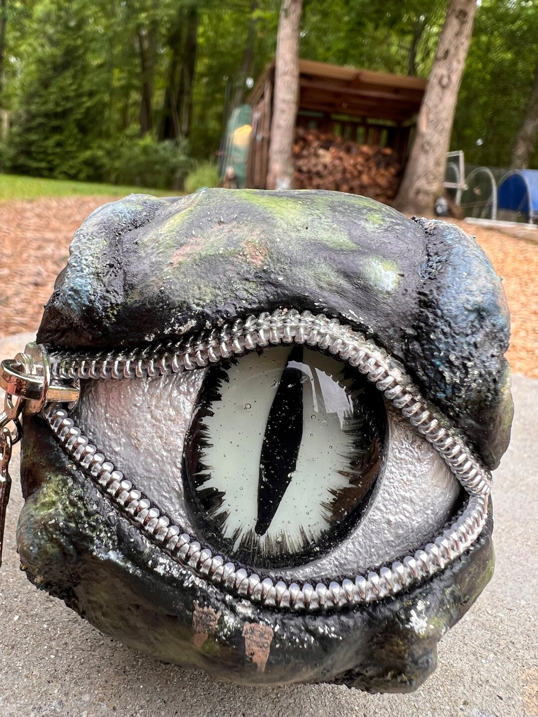 Monster Zipper Eye Rock Oddity Glow in the Dark - Etsy