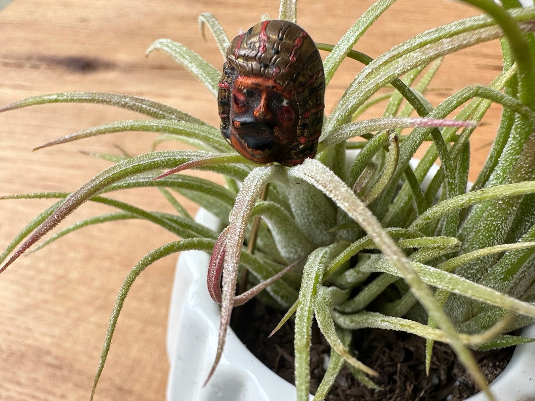 Antique Victorian Egyptian Revival Mummy Pharaoh Face Stick Pin - Etsy