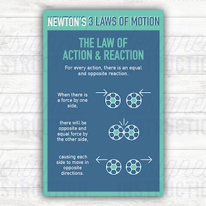 Newton's 3 Laws Poster: Science Classroom Poster, Physics Poster ...