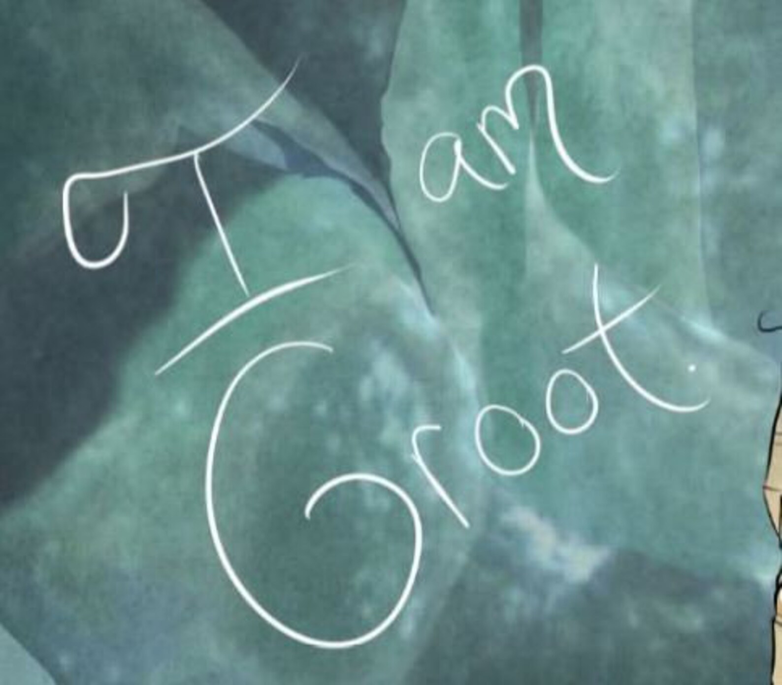 Groot / Guardians / Guardians of the Galaxy/ Baby Groot / I Am Groot ...