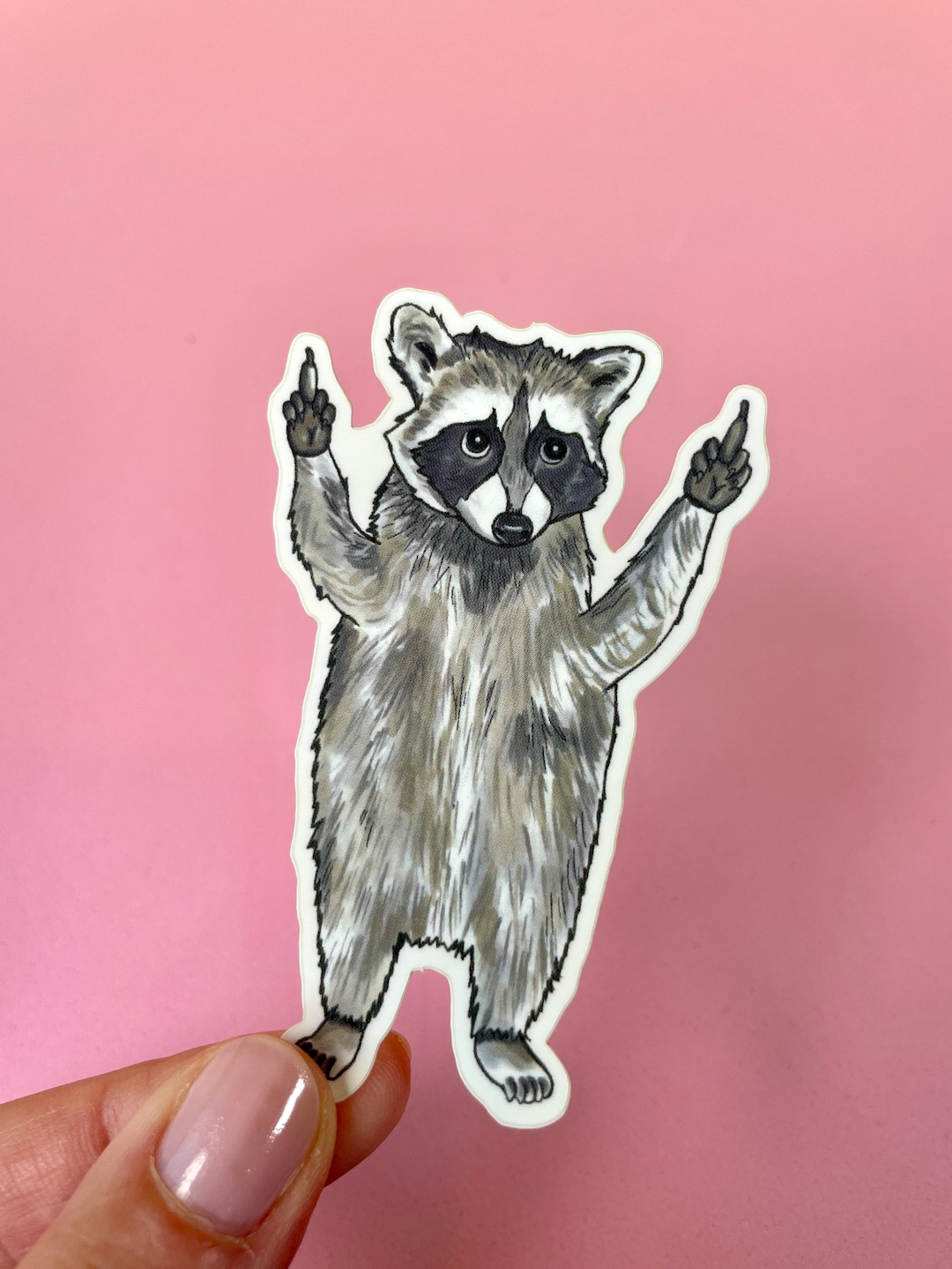 Raccoon Vinyl Sticker- Raccoon Middle Finger Sticker- Waterproof ...