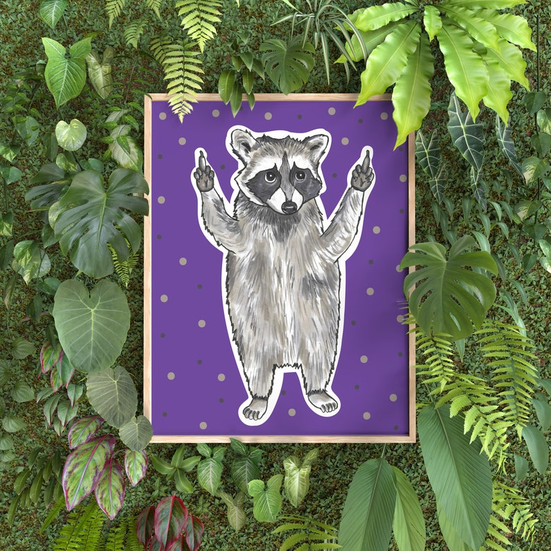 Raccoon Middle Finger 8x10 Inch Art Print - Etsy