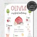 Farm Birthday Decorations | Barnyard Party Decorations | Birthday ...