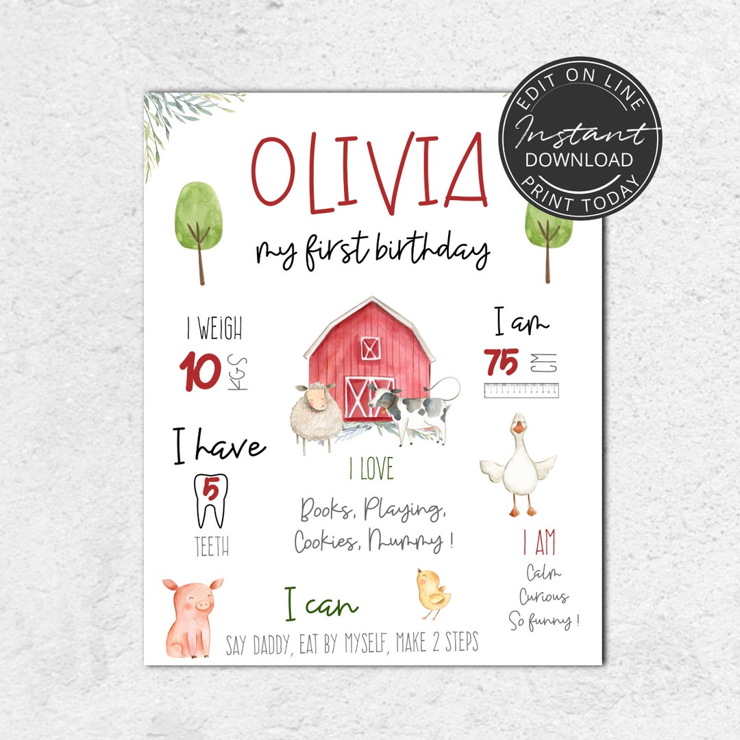 Farm Birthday Decorations Barnyard Party Decorations Birthday Milestone ...