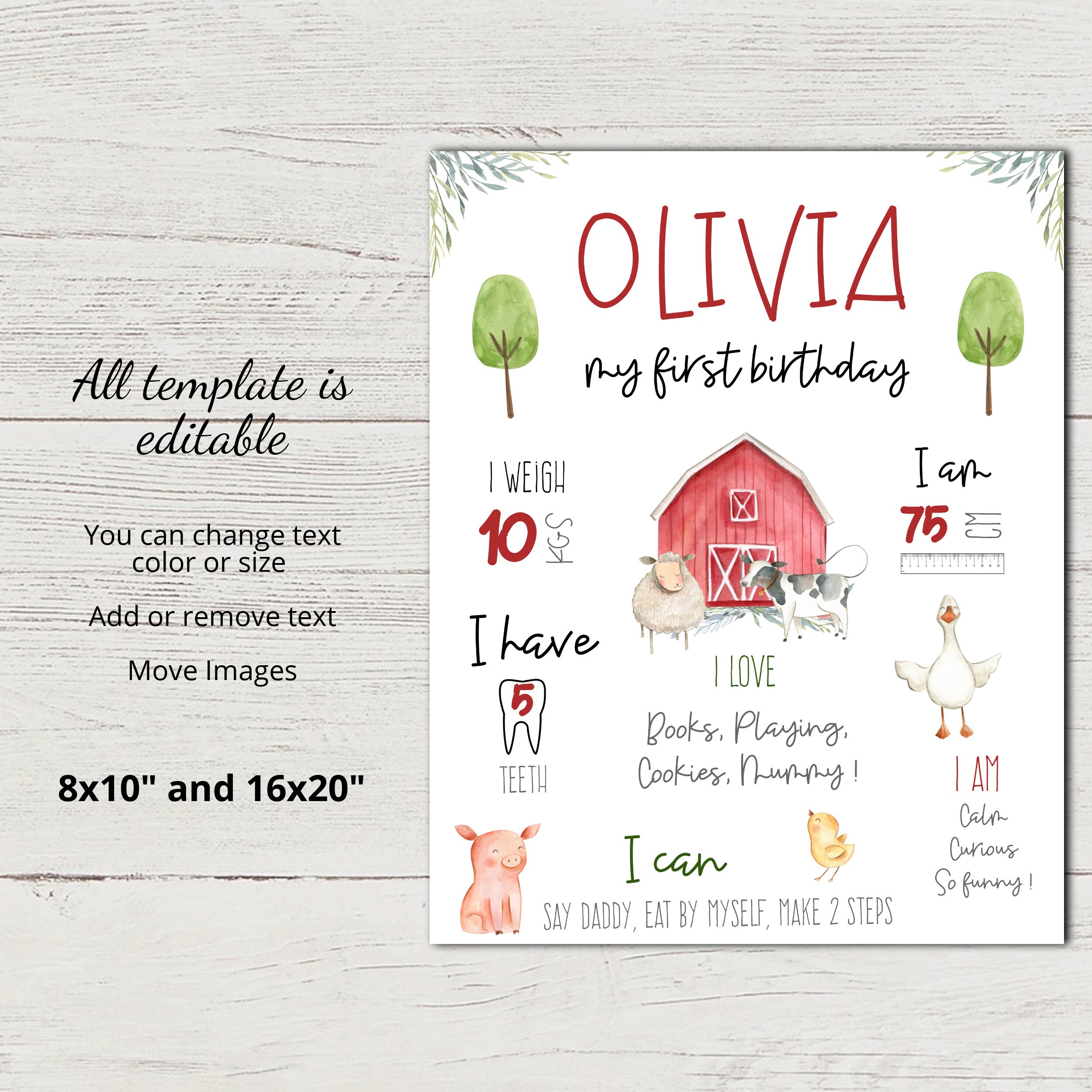 Farm Birthday Decorations | Barnyard Party Decorations | Birthday ...