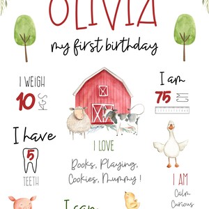 Farm Birthday Decorations | Barnyard Party Decorations | Birthday ...
