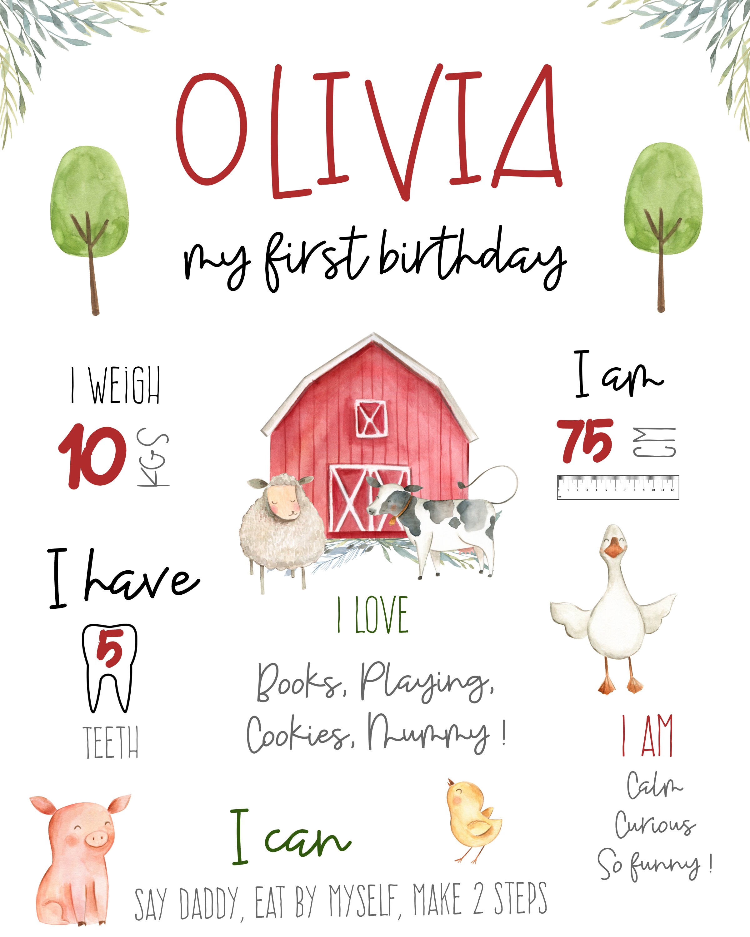 Farm Birthday Decorations | Barnyard Party Decorations | Birthday ...