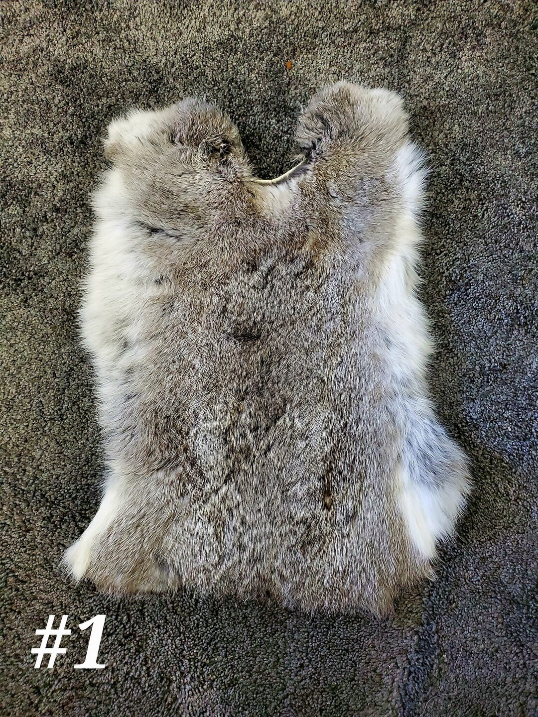 Natural Rabbit Pelt With Fur 10 by 14 Rabbit Skins Fur Hide Leather for ...