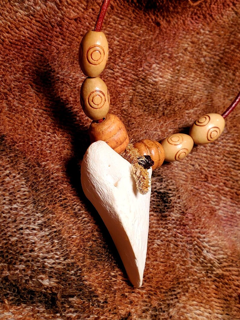 Different Styles of Elk Distal Third Phalange Toe Bone - Etsy