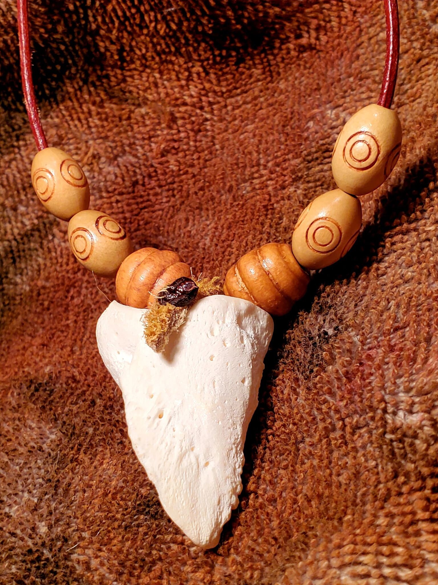 Different Styles of Elk Distal Third Phalange Toe Bone - Etsy