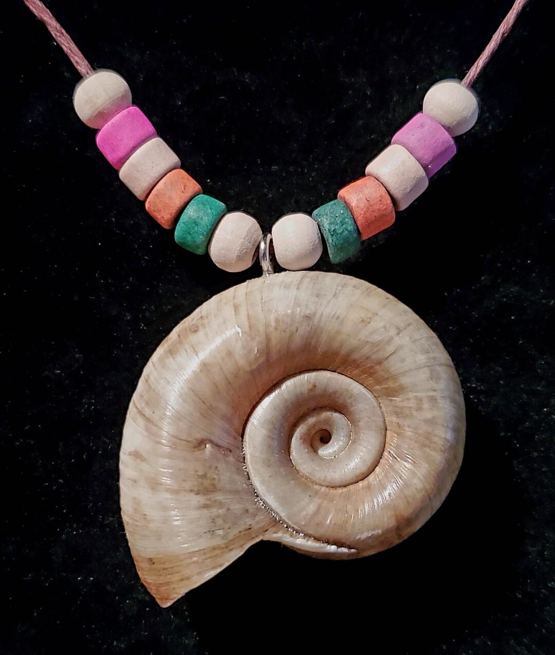 Theba Pisana White Garden Snail Shell Necklace With Round Wood Beads ...