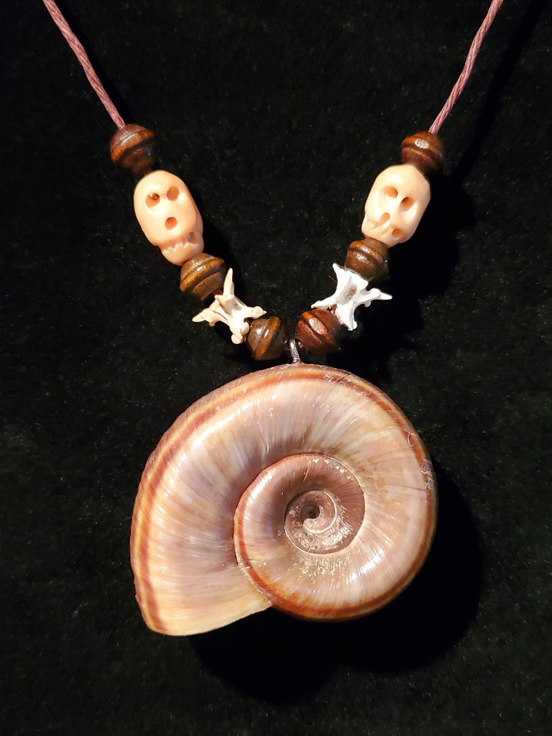 Theba Pisana White Garden Snail Shell Necklace With Spiral Wood Beads ...