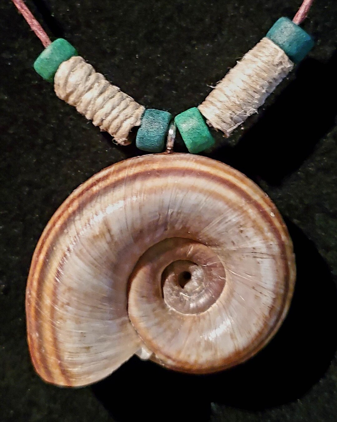 Theba Pisana White Garden Snail Shell Necklace With Blue Green ...