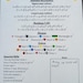 Kindergarten Readiness Skills Checklist, Printable PDF, Early Learning ...