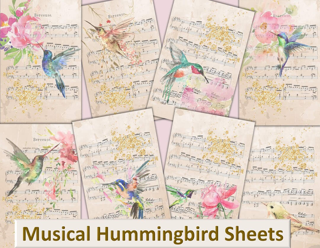 Printable Musical Hummingbird Pages for Your Journal. JPEG and PDF - Etsy