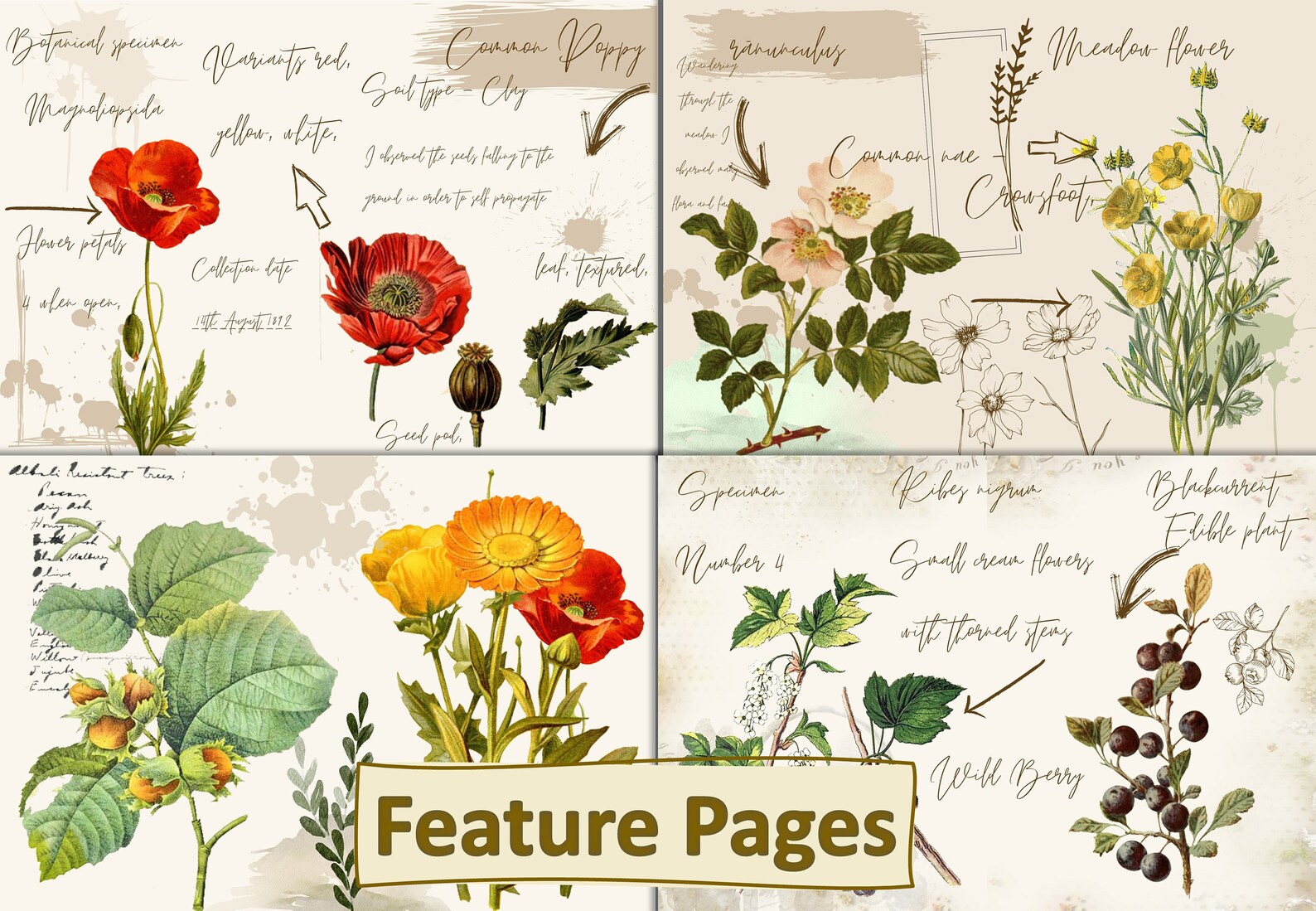 Printable Vintage Botanical Journal Kit with free ephemera. | Etsy