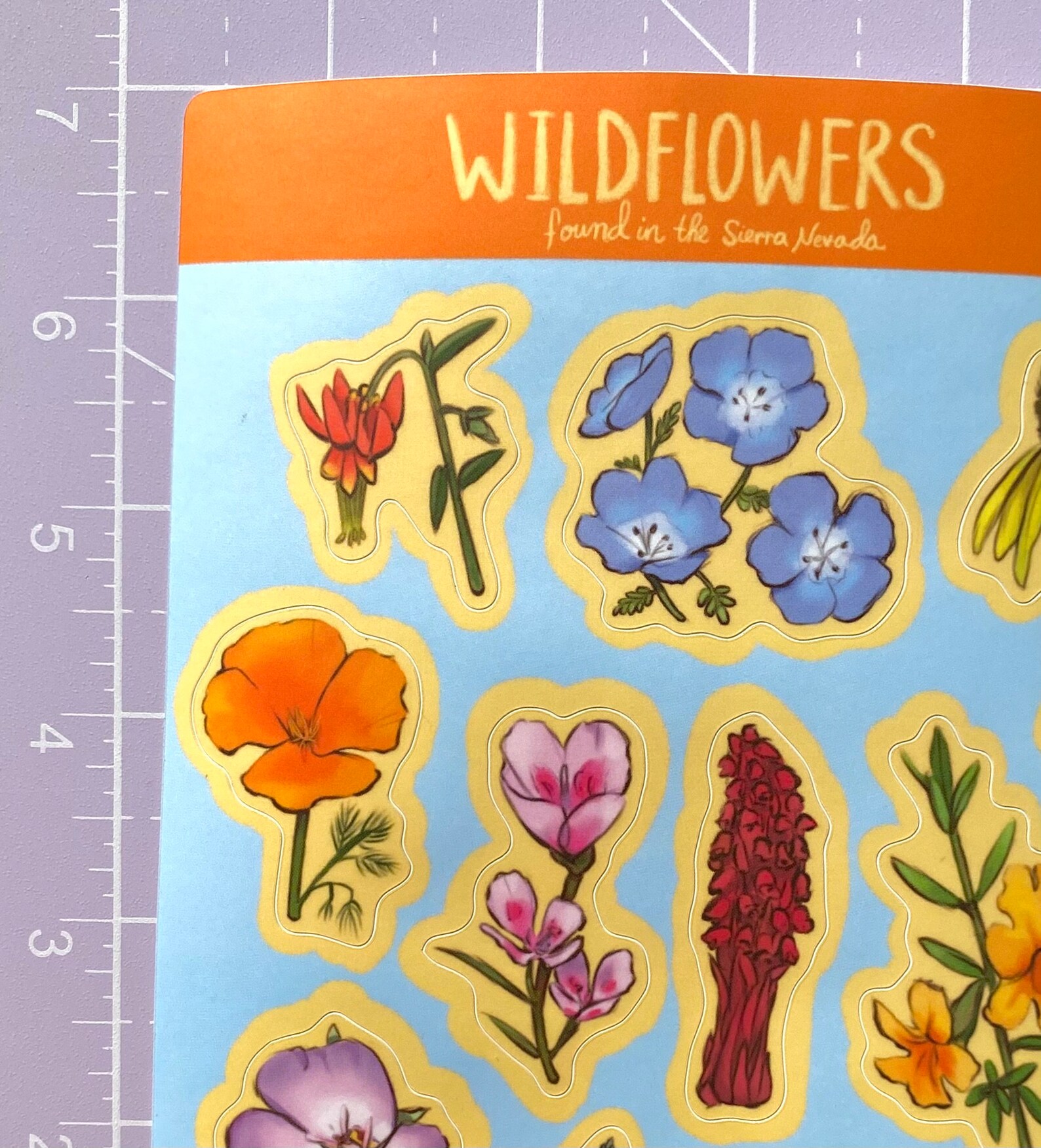 Wildflowers of the Sierra Nevada Sticker Sheetwaterproof Vinyl Matte 12 ...
