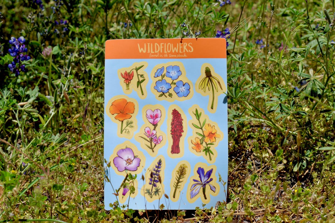 Wildflowers of the Sierra Nevada Sticker Sheetwaterproof Vinyl Matte 12 ...