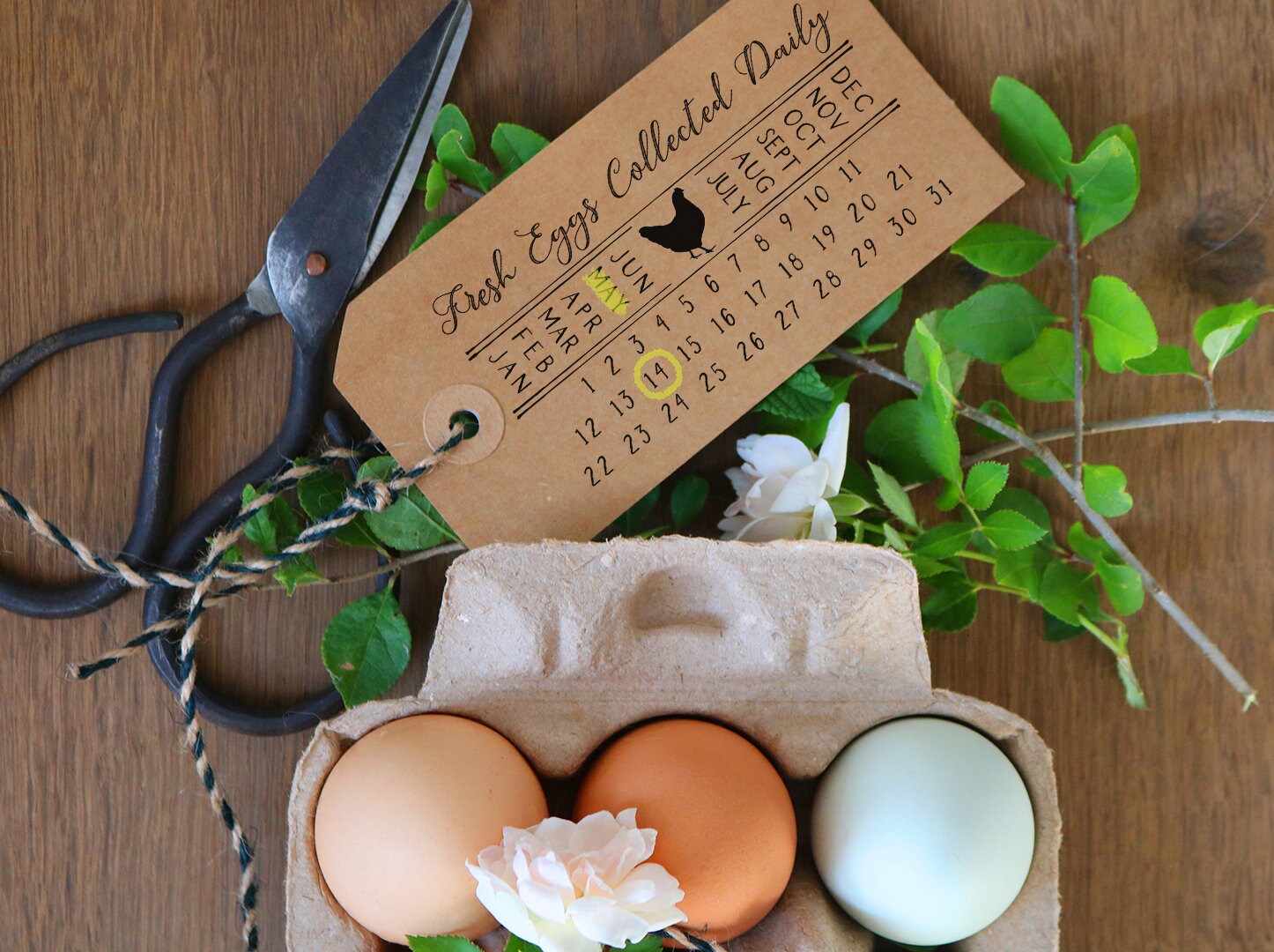 Fresh Eggs Collected Date Stamp Chicken Eggs Date Gathered | Etsy Singapore