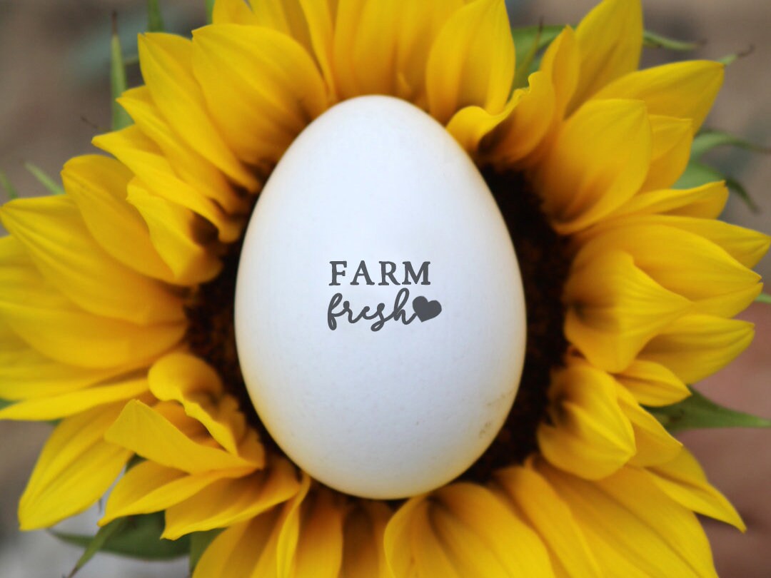 Heart Farm Fresh Egg Stamp - Heart Chicken Egg Stamp - Chicken Stamp ...