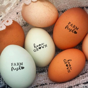 Heart Farm Fresh Egg Stamp - Heart Chicken Egg Stamp - Chicken Stamp ...