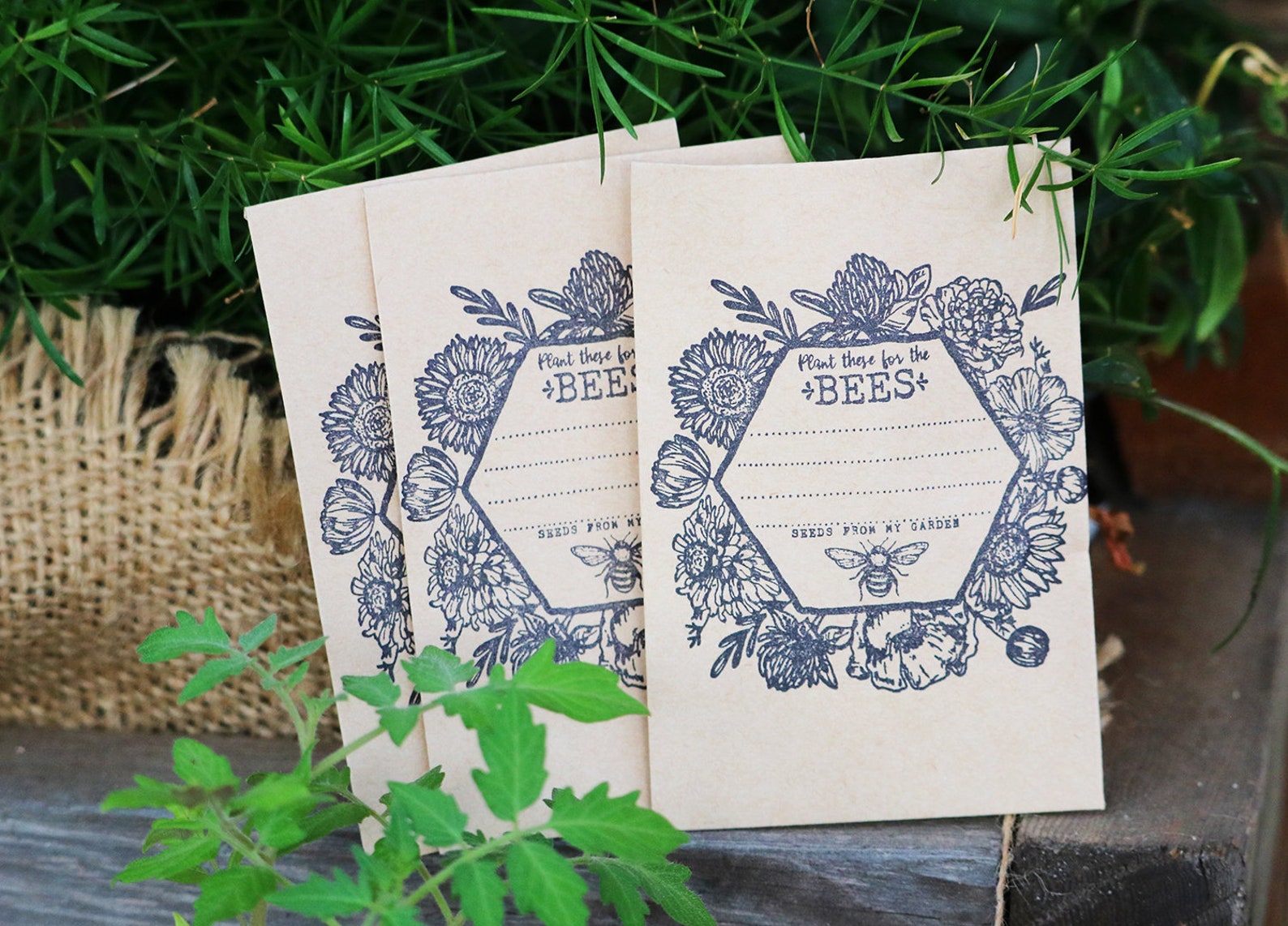 Honey Bee plant These for the Bees Seed Packet - Etsy