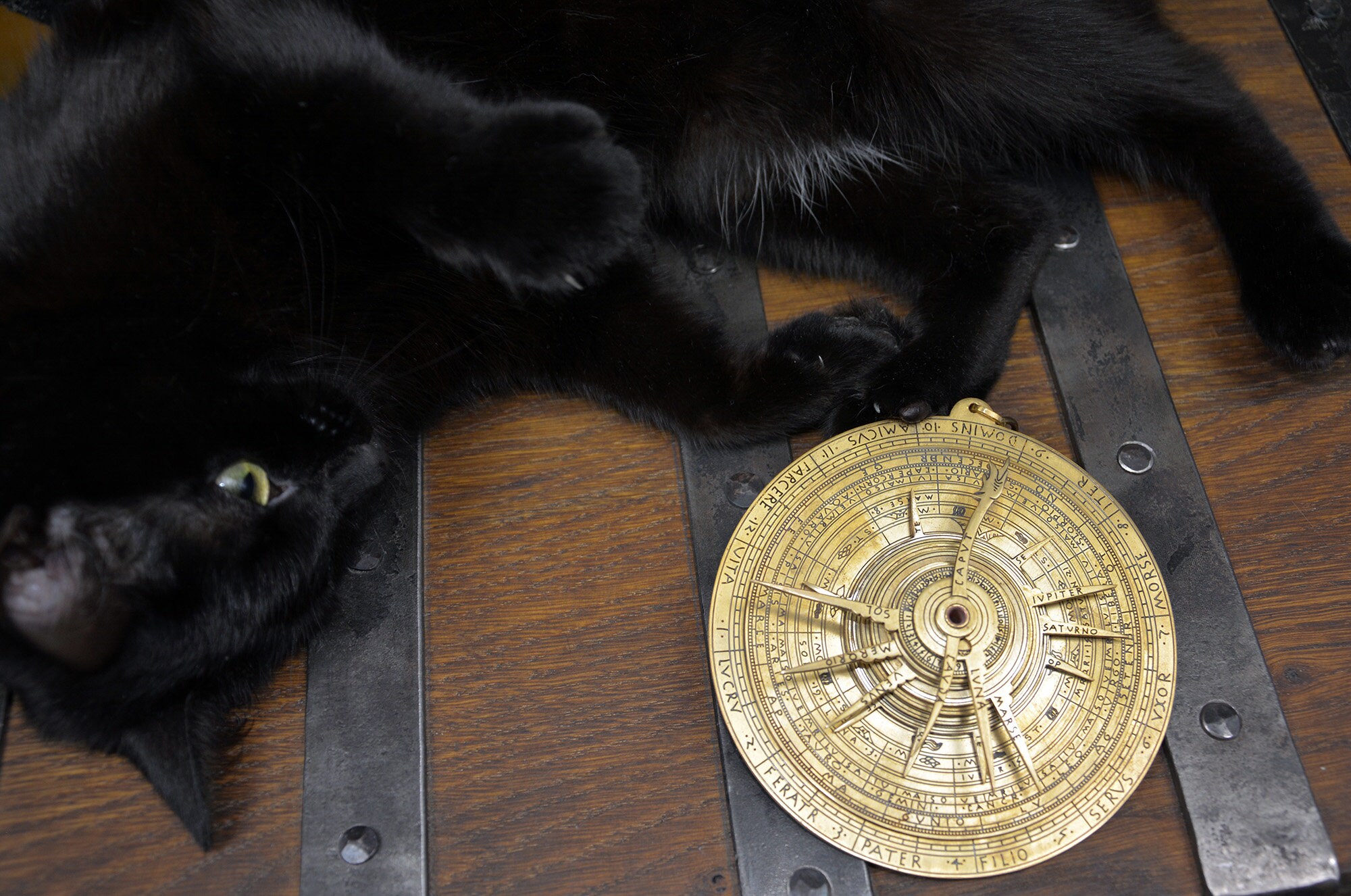Astrological Astrolabe From Mediterranean, Unique Gift, Anniversary ...