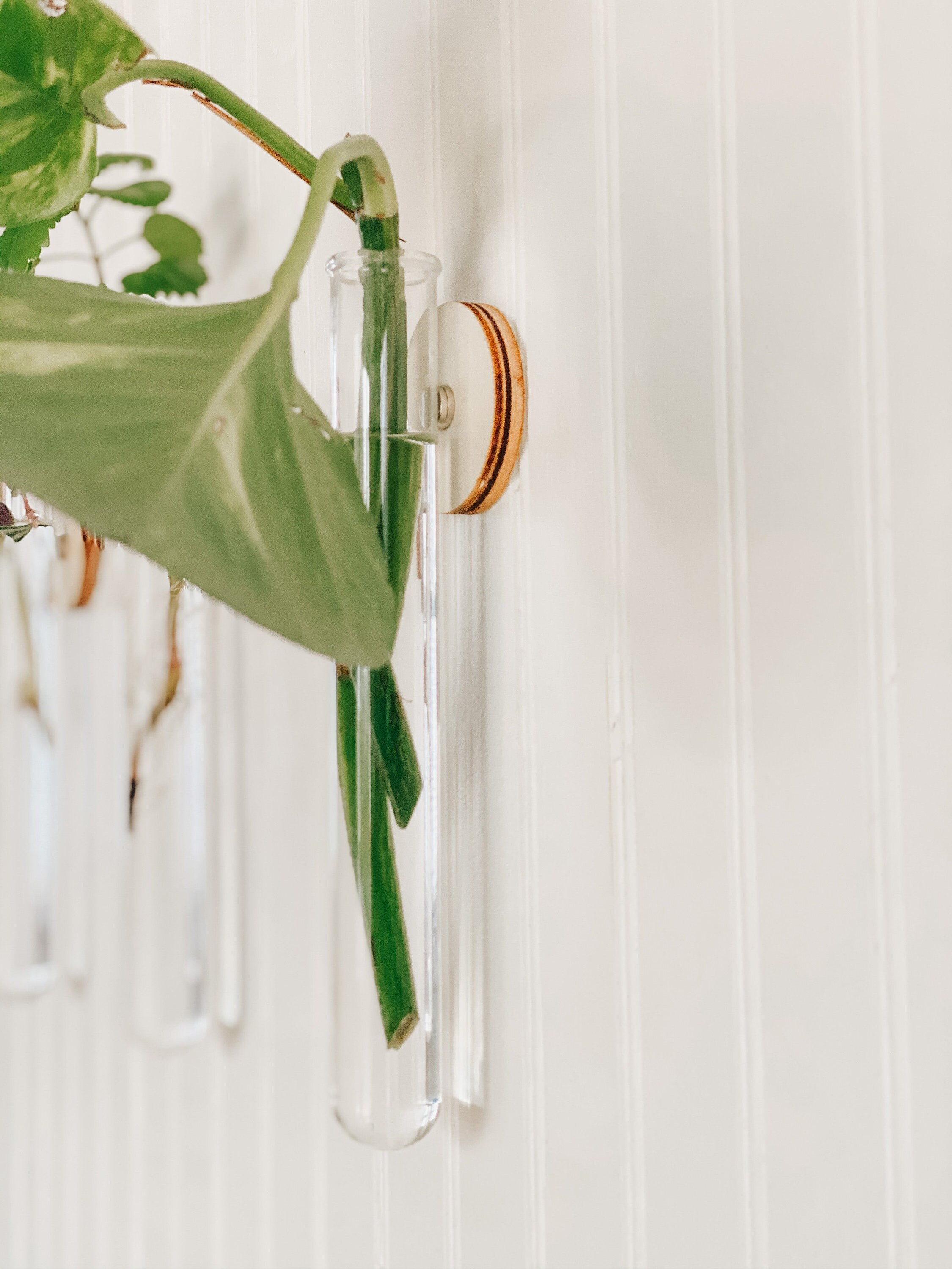 Wooden Propagation Planter - Etsy