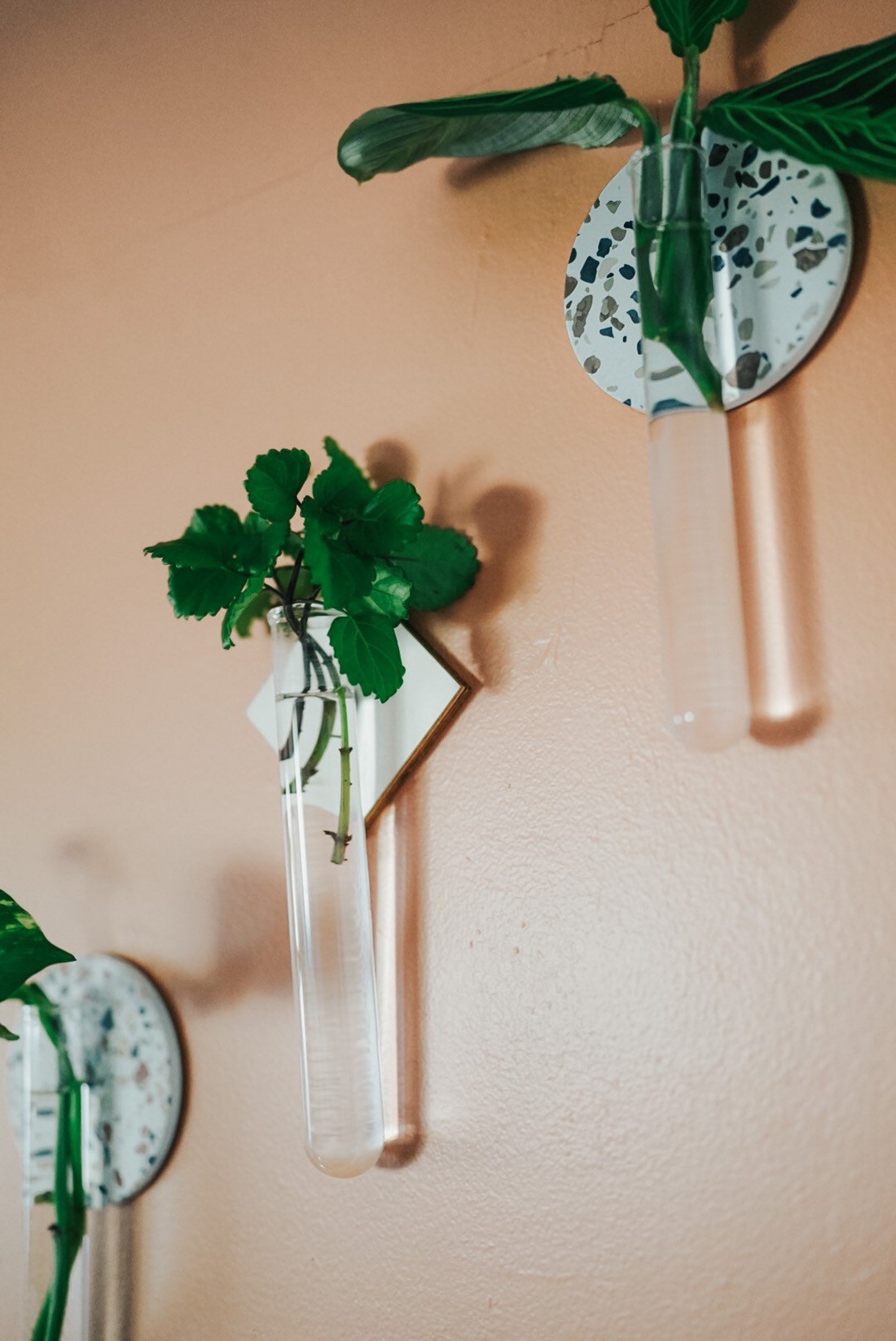 Wall Mounted Propagation Planter Magnetic Propagation - Etsy