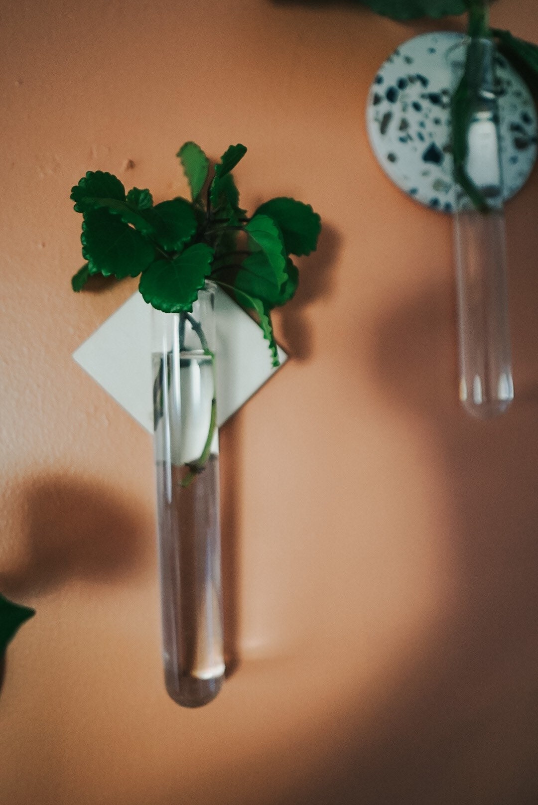 Wall Mounted Propagation Planter | Magnetic Propagation Planter ...