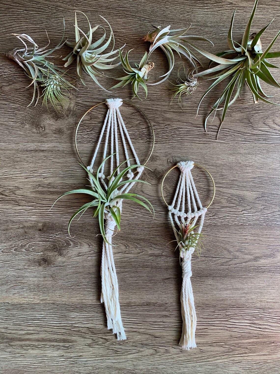 Macrame Mini Hoop Air Plant Hanger Boho Inspired Home Decor - Etsy