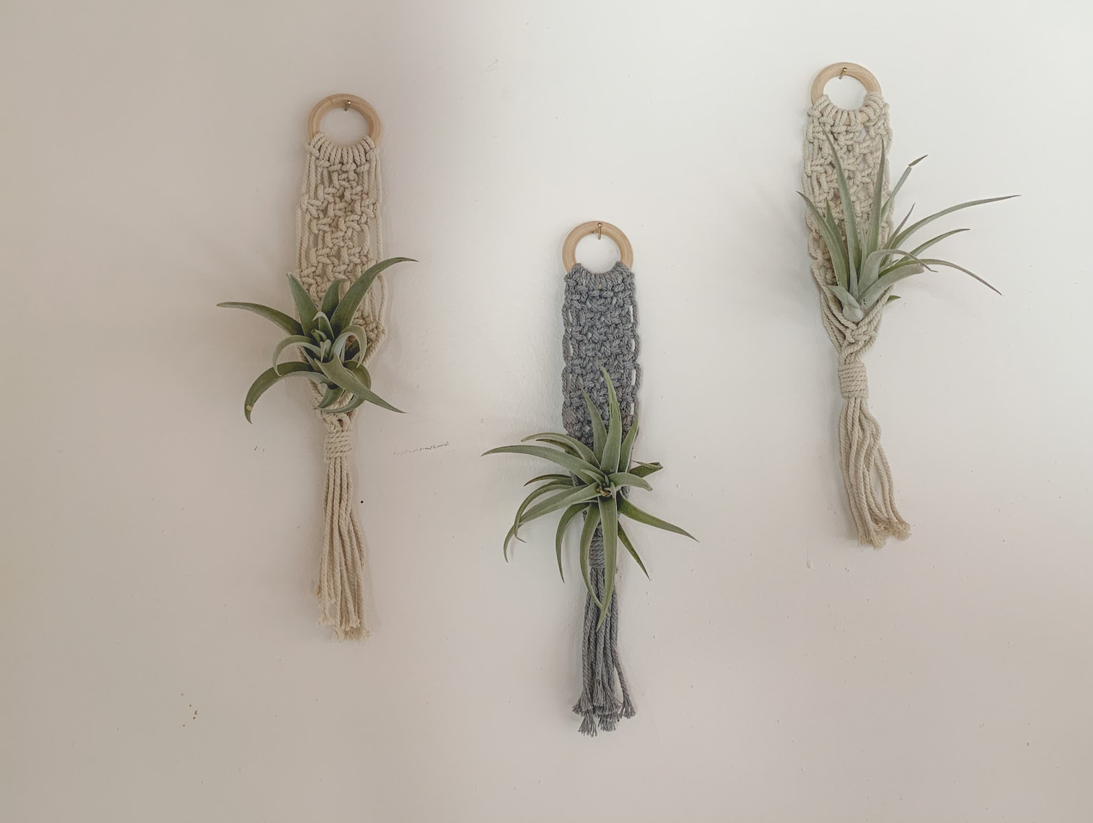 Macrame Mini Air Plant Hanger Boho Inspired Home Decor - Etsy