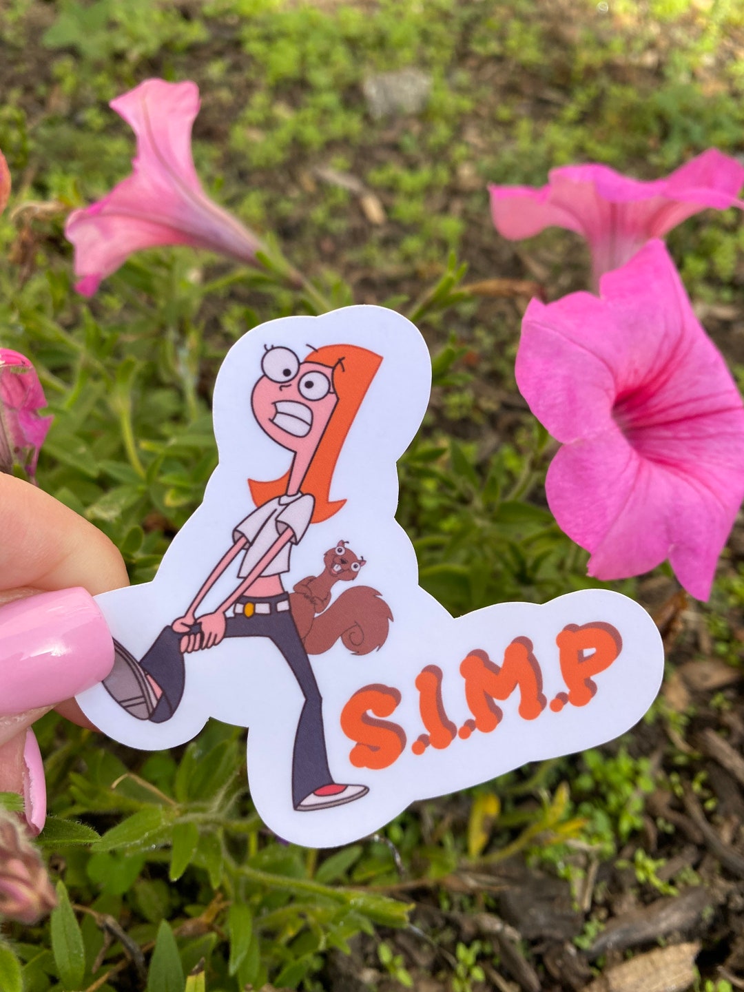 S.I.M.P / Squirrels in My Pants Sticker - Etsy