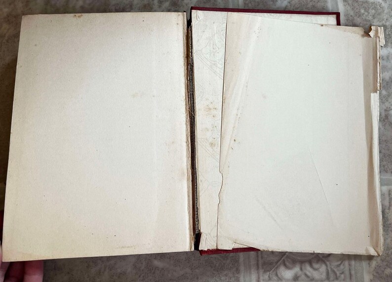 Helen and the Fifth Cousins by Beth Gilchrist 1915 - Etsy