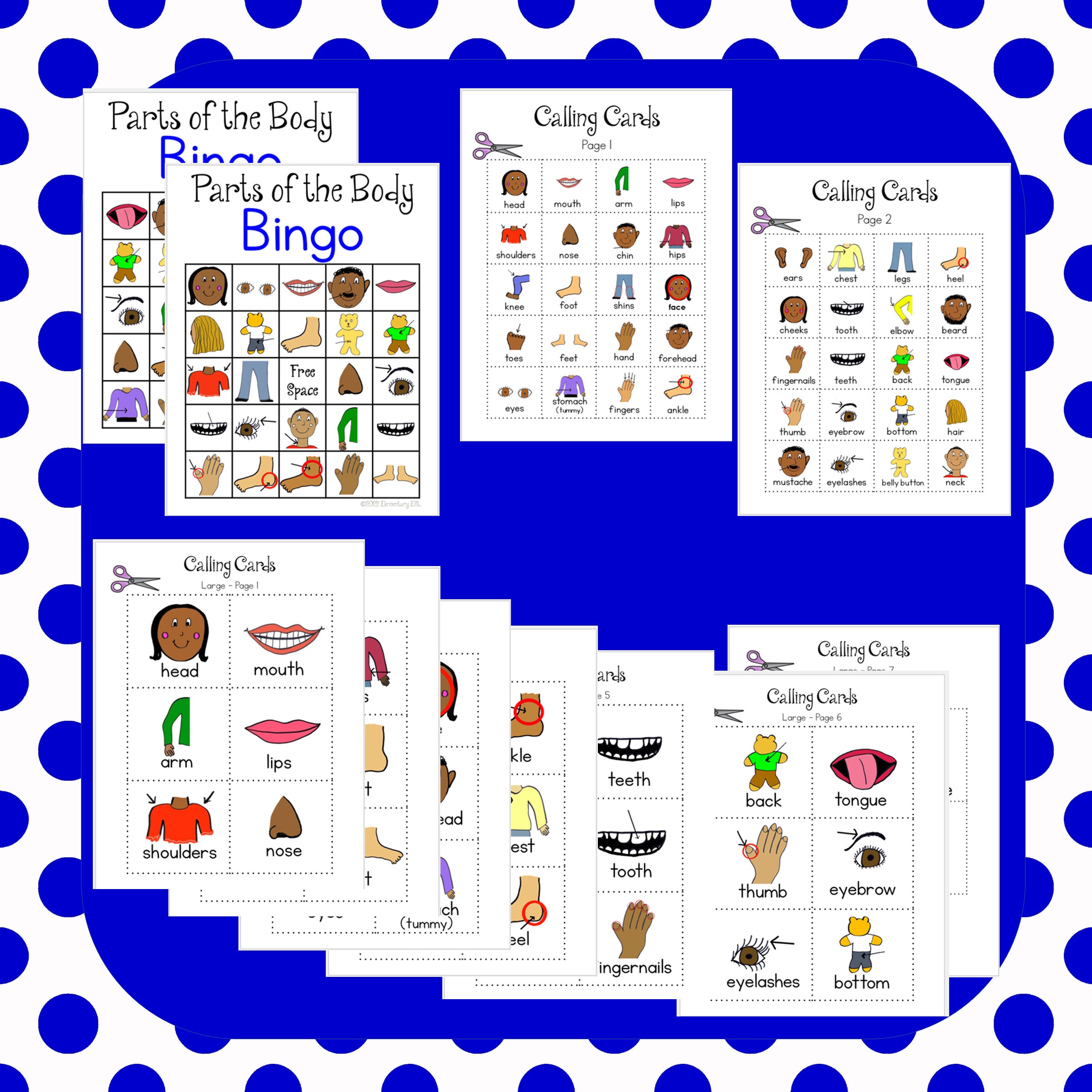 Body Parts Bingo Cards for ESL/ELL/ELD & Speech: Set of 30 Parts of the ...