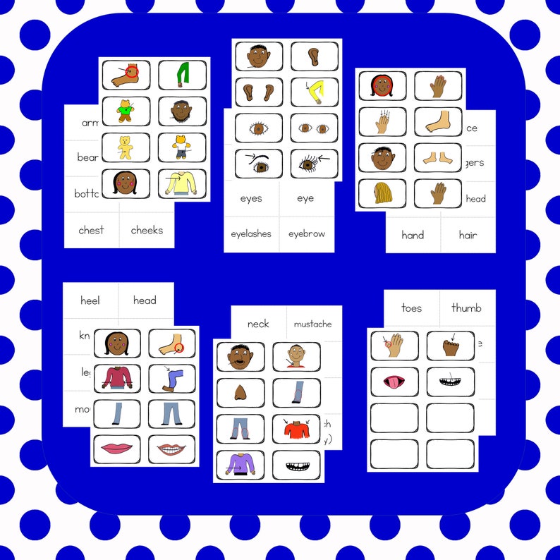 Body Parts Vocabulary Flash Cards for ESL/ELL/EFL & Speech Students ...