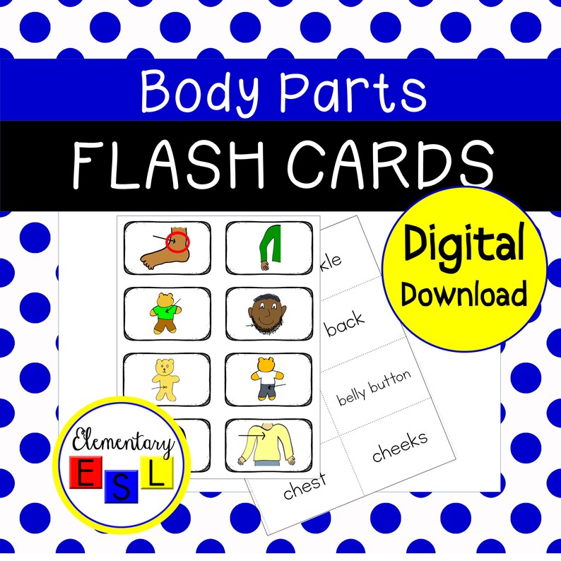 Body Parts Vocabulary Flash Cards for ESL/ELL/EFL & Speech Students ...