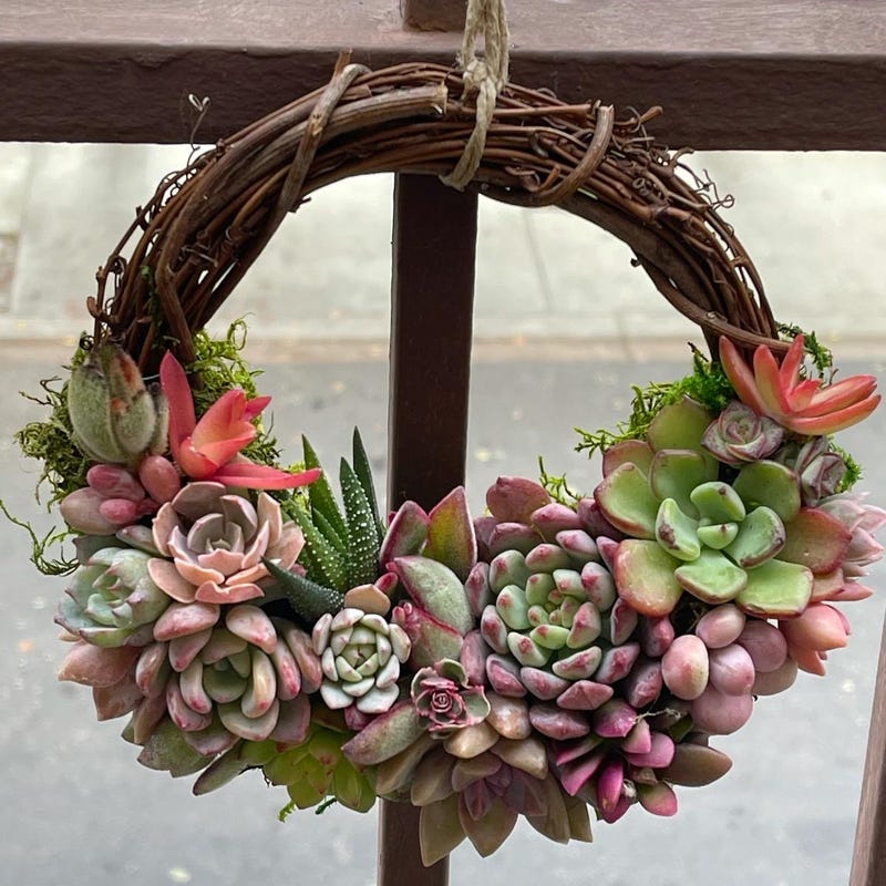 Indoor Grapevine Wreath - Etsy