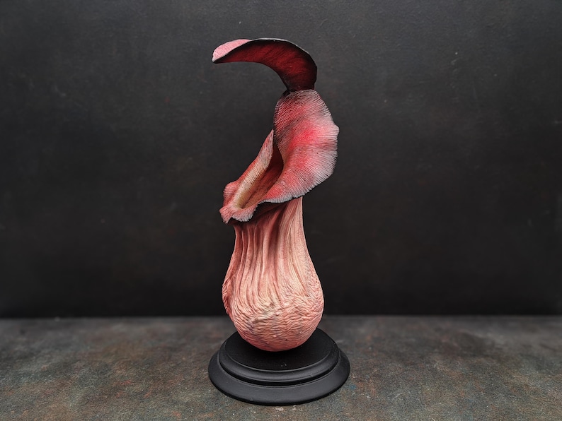 Planticles Weird Pitcher Plant Decor - Etsy
