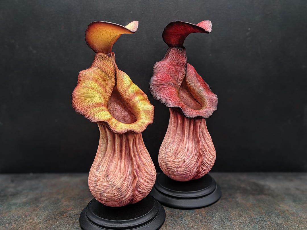 Planticles Weird Pitcher Plant Decor - Etsy