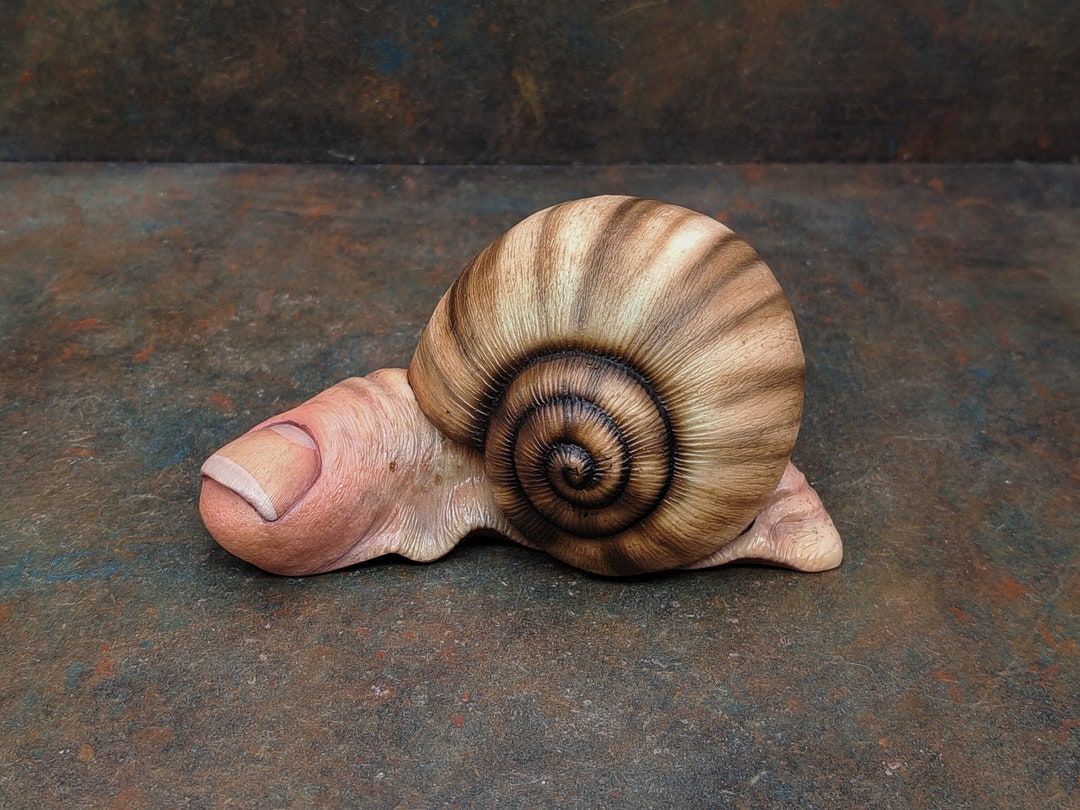 Toesnail Creature Sculpture, Funny Oddity and Weird Decor - Etsy